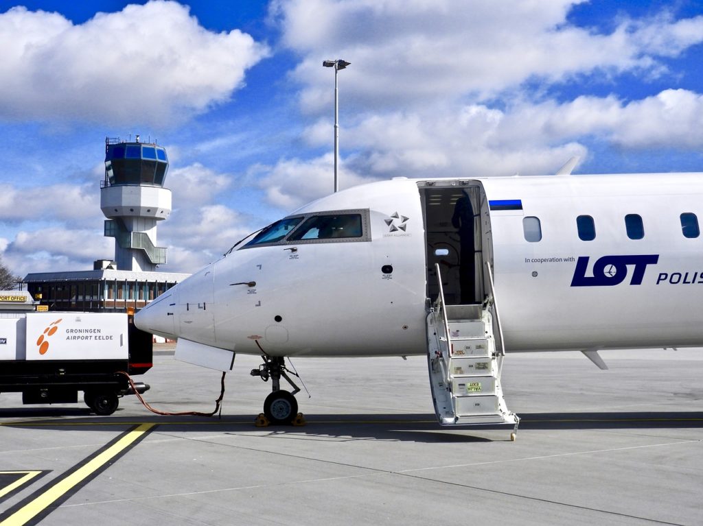 Jakie linie lotnicze przewożą psy i inne zwierzęta?